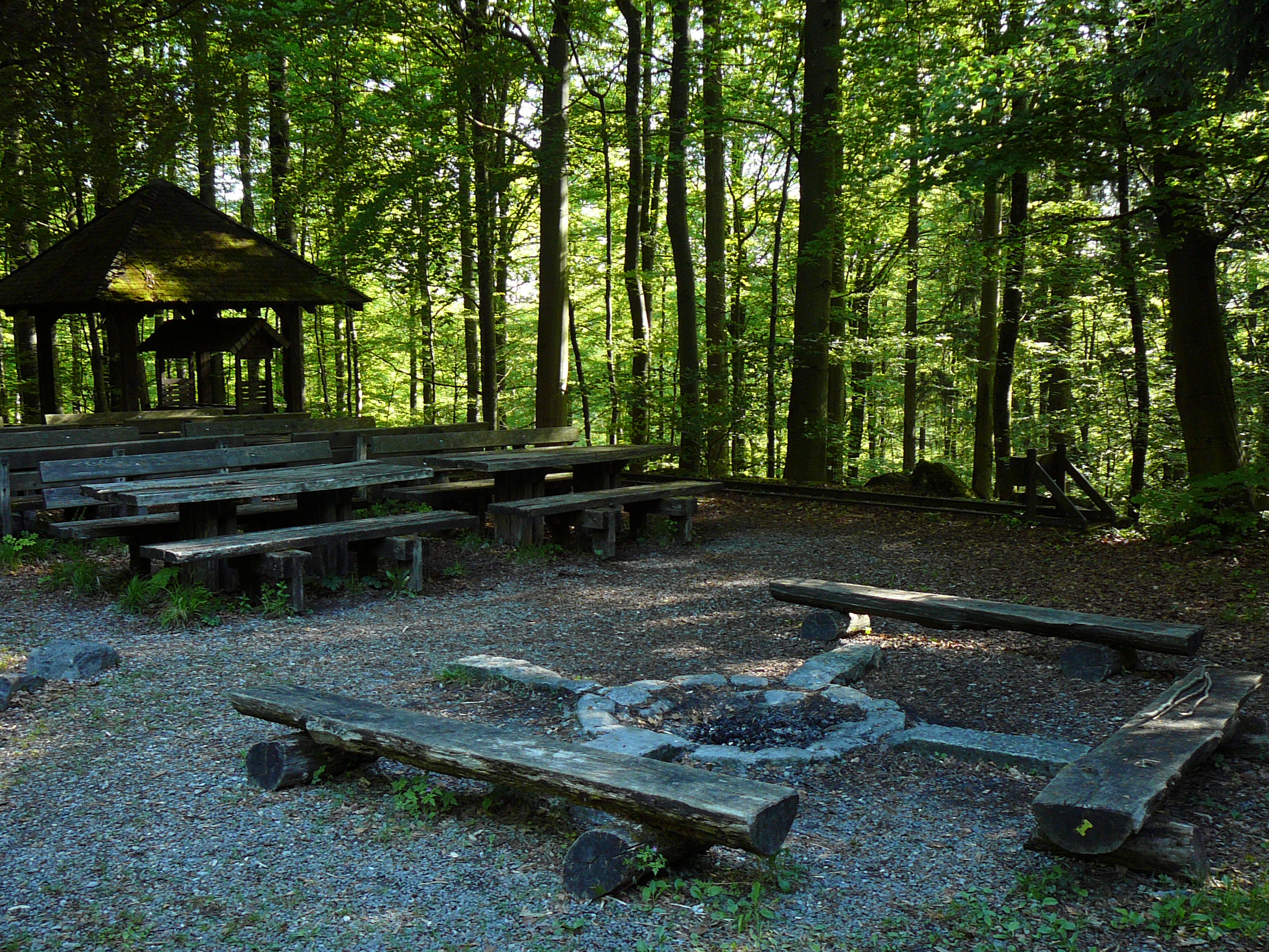 Feuerstelle Langrain - Beim Denkmal der Sihlwald-Bahn | Wildnispark Zürich