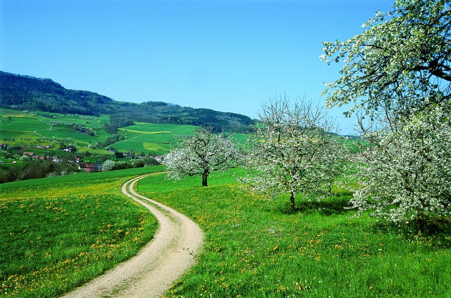 Iron Route - Theme trail on historical ore mining | The Swiss parks