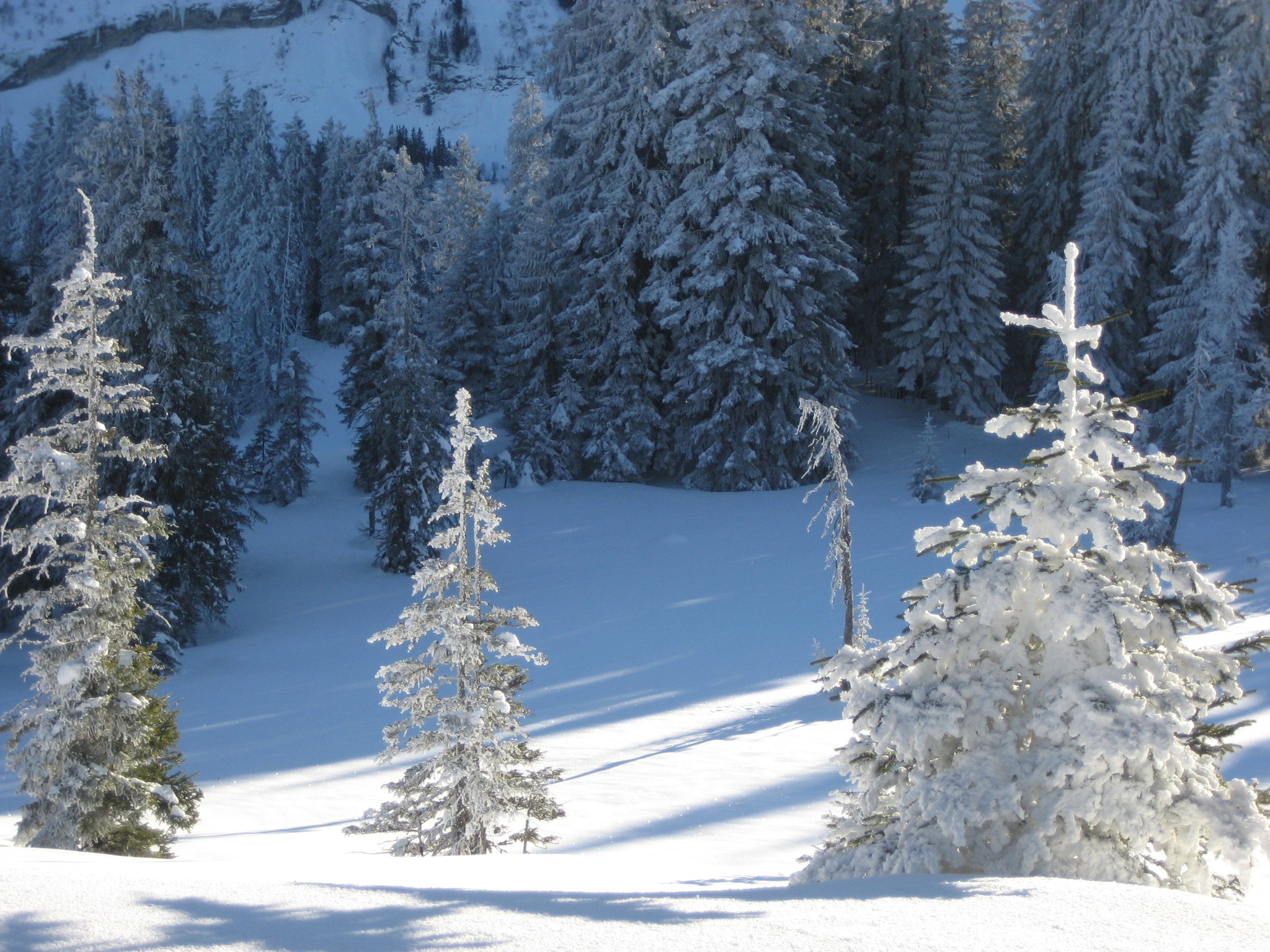 Winter activities